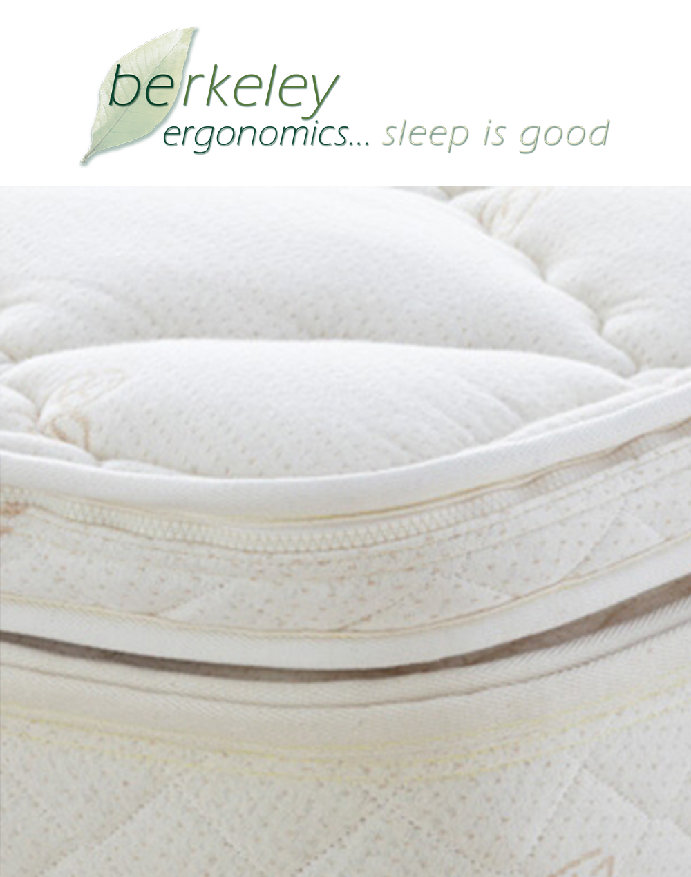 Berkeley Ergonomics – The Sleep Shoppe